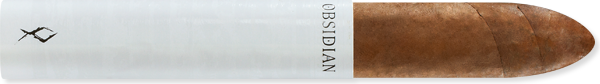 Obsidian White Noise Torpedo - CigarBid